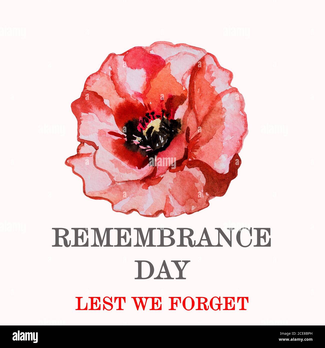 National flower of united kingdom Cut Out Stock Images & Pictures - Alamy