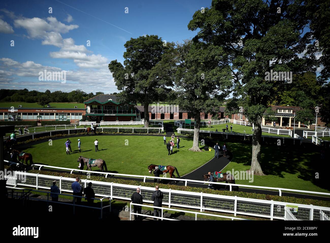 A general view of the parade ring prior to racing at Ripon Racecourse ...