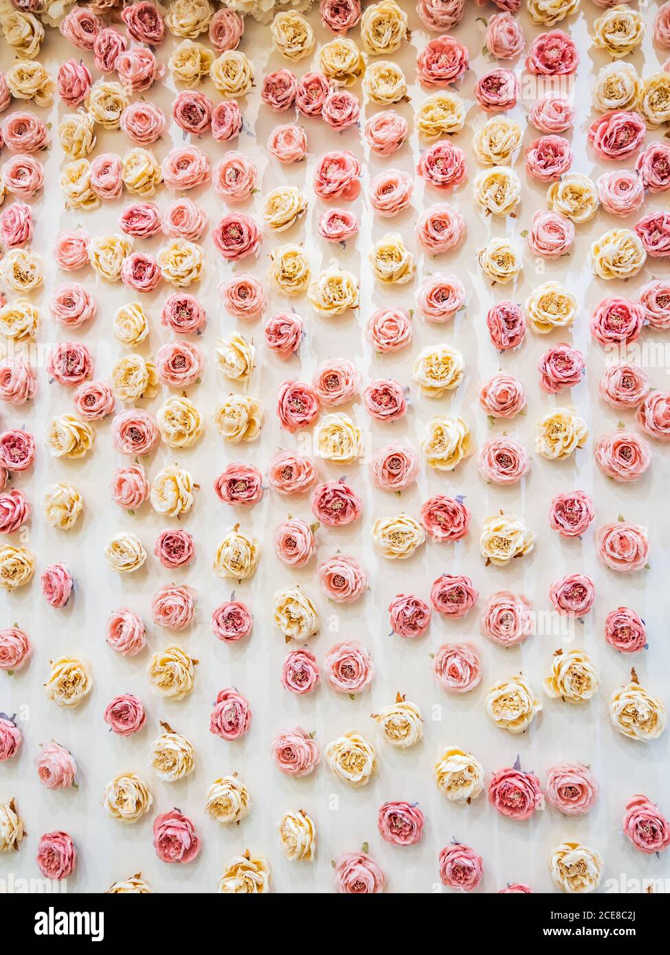 A Wall of roses background Stock Photo - Alamy