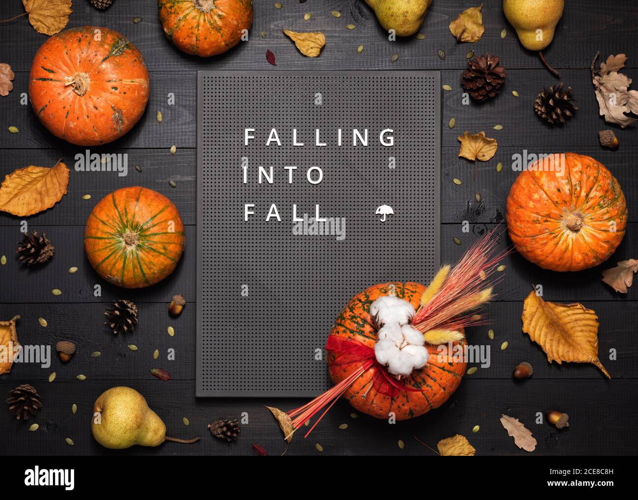 Falling into fall greeting text on black decorations sign Stock Photo ...