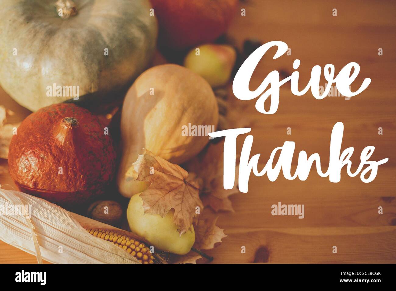 Happy Thanksgiving greeting card. Hand written Give Thanks text on ...