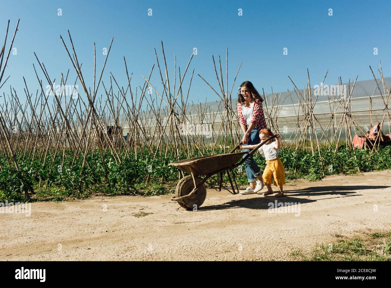 Wheelbarrow walk hi-res stock photography and images - Alamy
