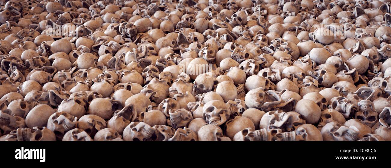 Human skulls bones stacked in hi-res stock photography and images - Alamy