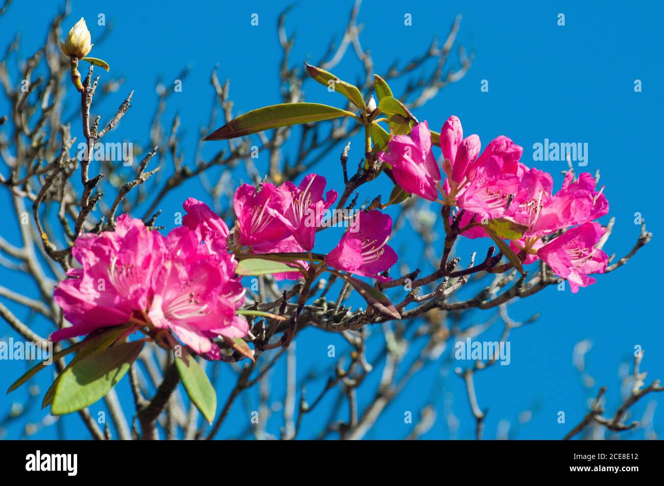 Seasons in australia hi-res stock photography and images - Alamy