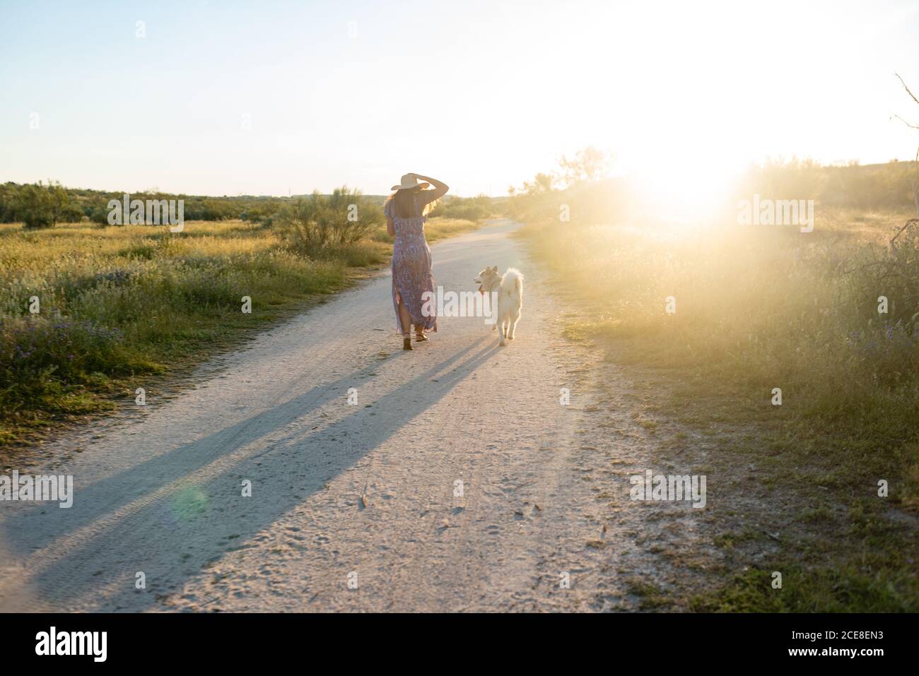 Back view of unrecognizable delighted female in dress walking along ...