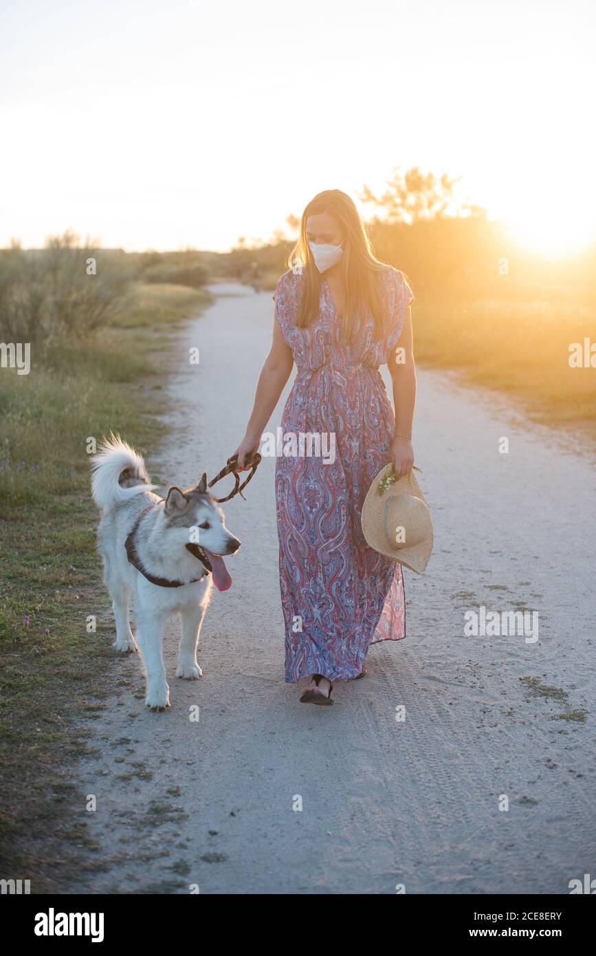Woman walk alaskan malamute dog hi-res stock photography and images - Alamy