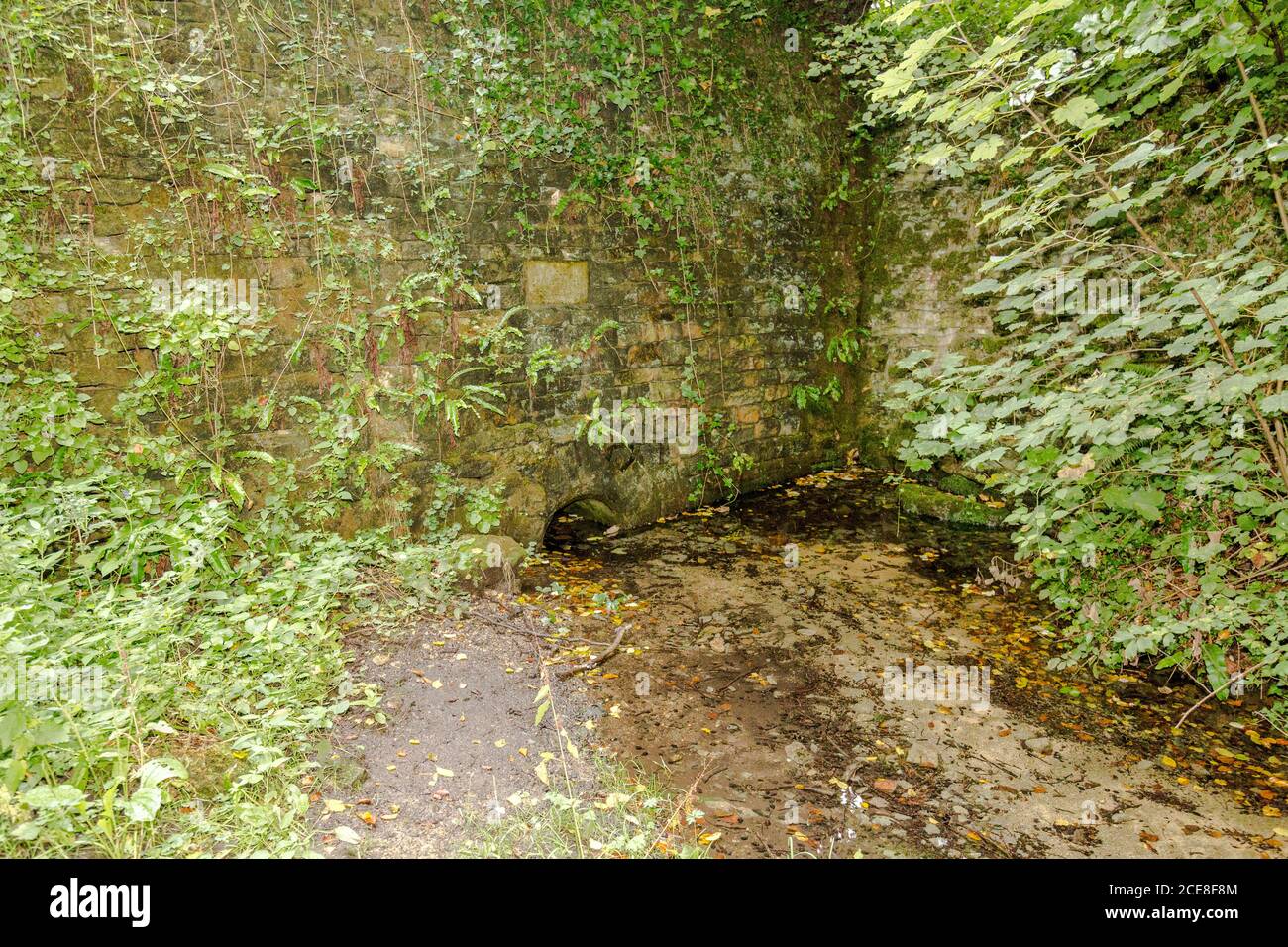 Seven Springs - source of the River Churn (longest tributary of the ...