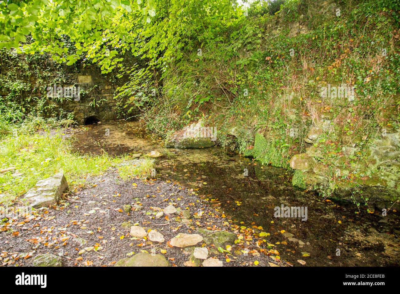 Seven Springs - source of the River Churn (longest tributary of the ...