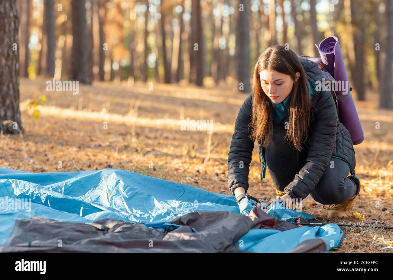Girl backpacker setting up tent, forest background Stock Photo - Alamy