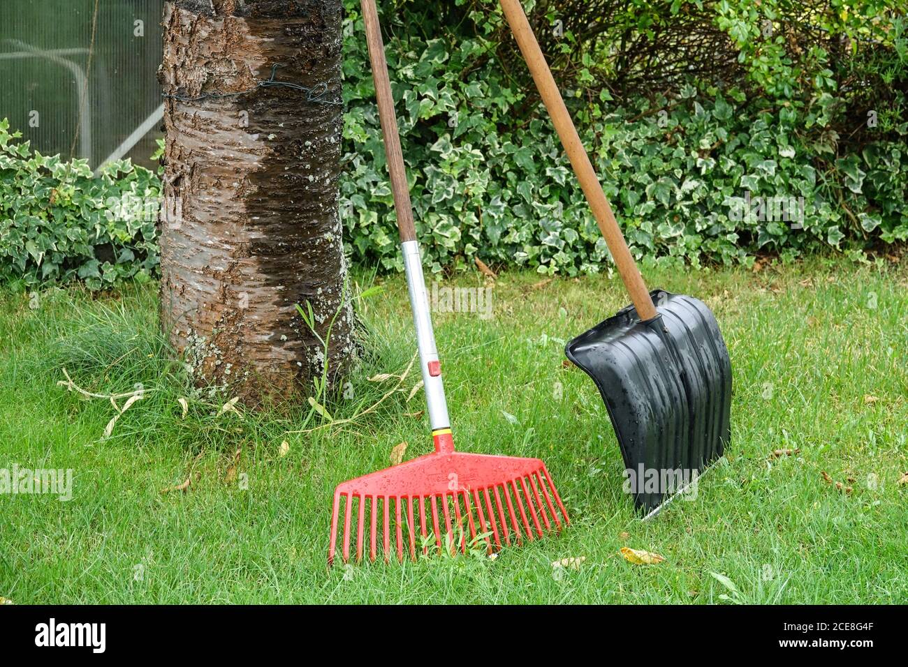 Rake leaning at tree hi-res stock photography and images - Alamy