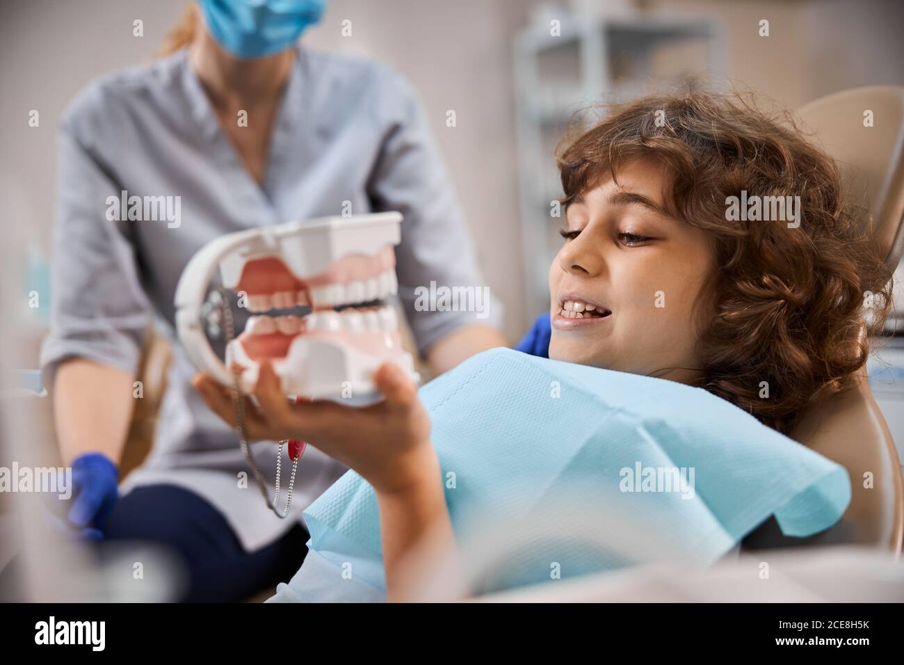 Learning about teeth anatomy is so much fun Stock Photo - Alamy