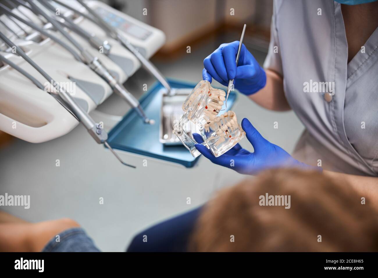 Human teeth anatomy explained by a dentist Stock Photo - Alamy