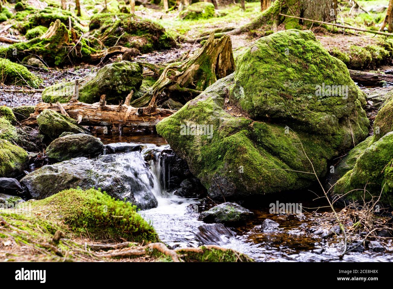 Forest river waterfall hi-res stock photography and images - Alamy