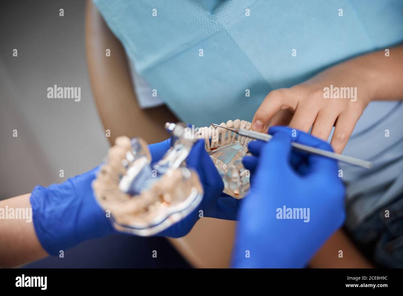Visual aids like teeth models help learn anatomy Stock Photo - Alamy