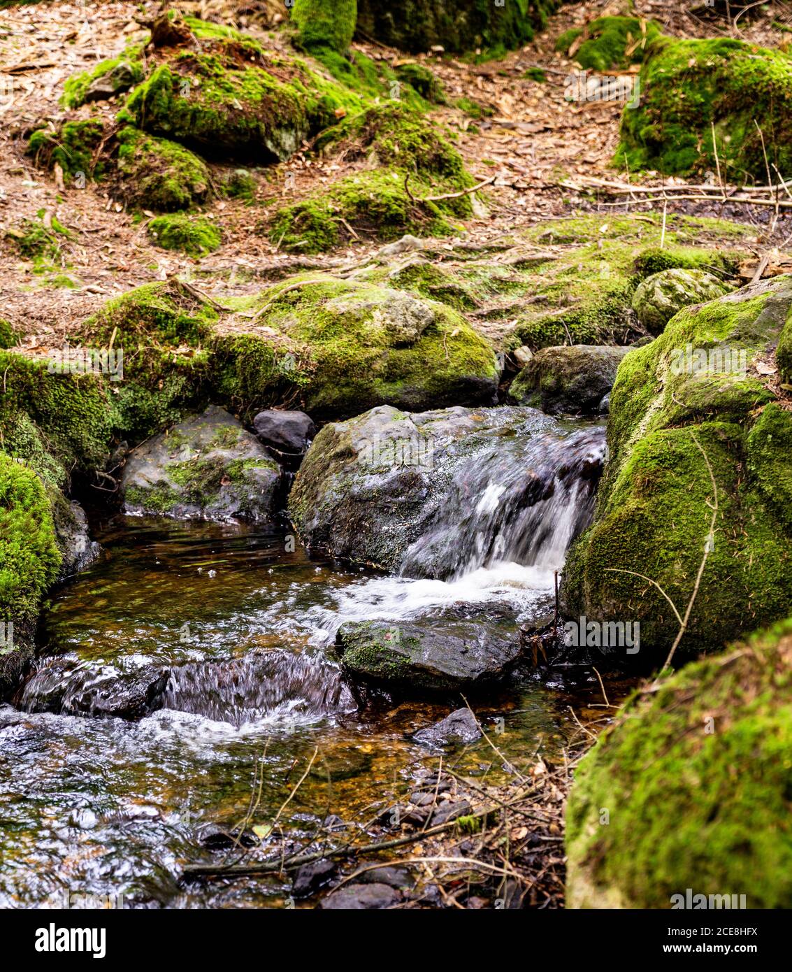 Forest river and waterfall through rocks Stock Photo - Alamy
