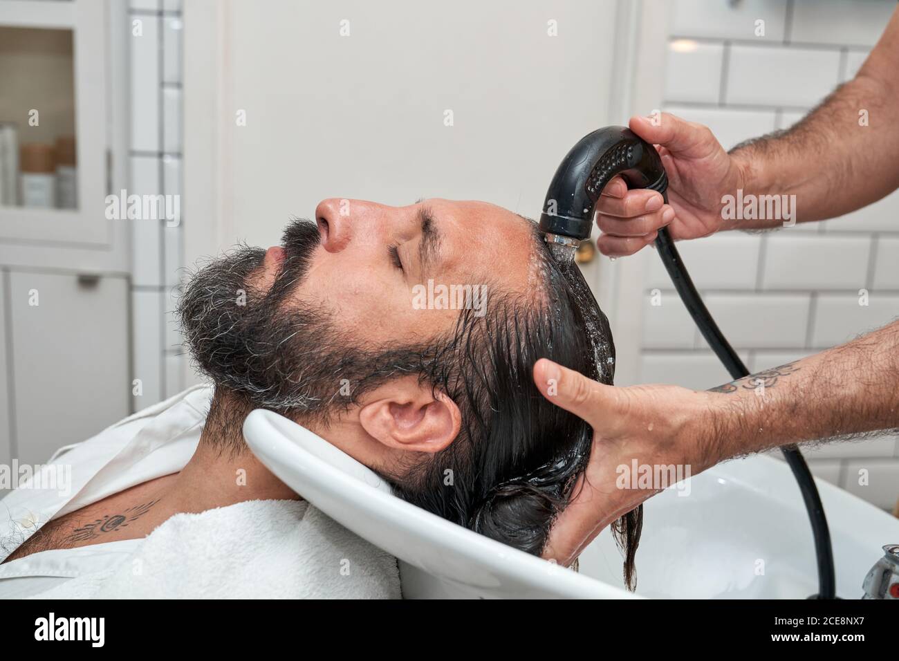 Bearded Male Head High Resolution Stock Photography and Images - Alamy