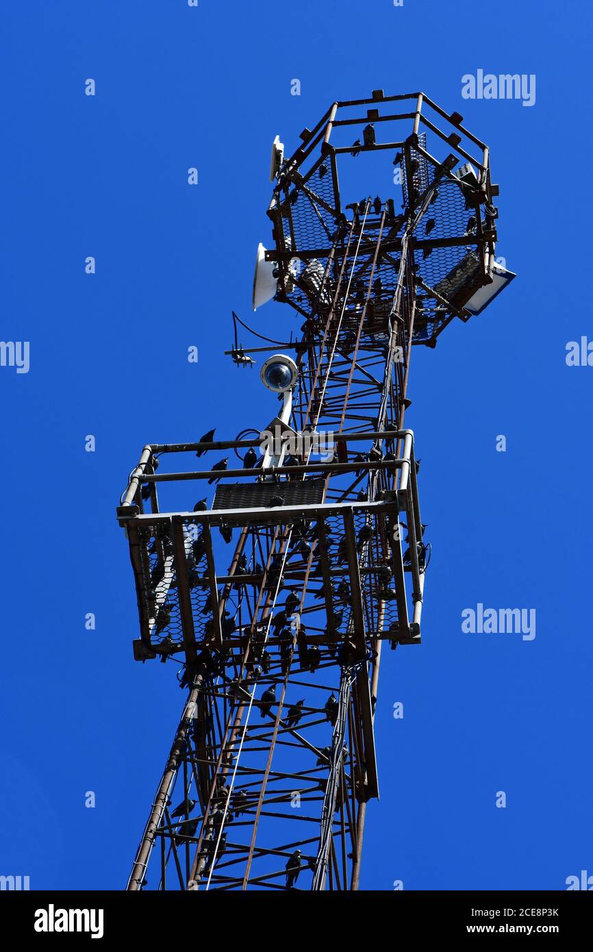 Mast transmitter hi-res stock photography and images - Alamy