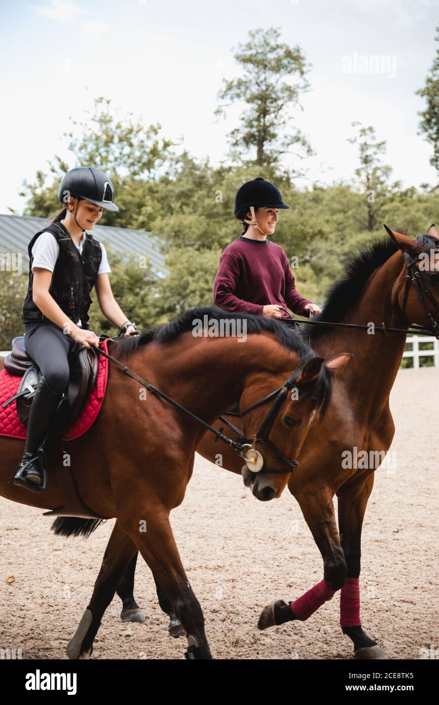 Young content female equestrians training on paddock and riding ...