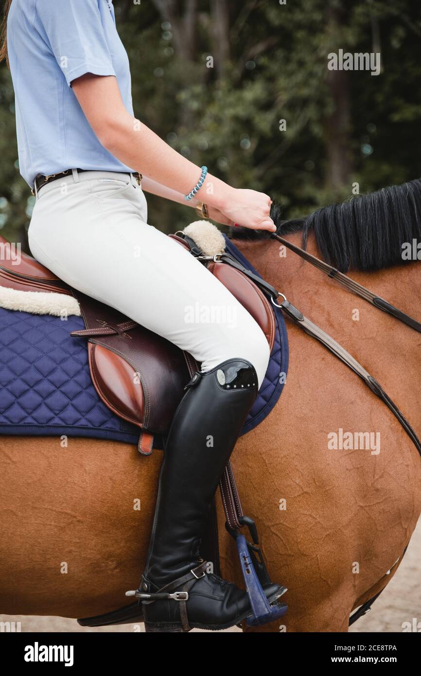Female Dressage Rider High Resolution Stock Photography and Images - Alamy