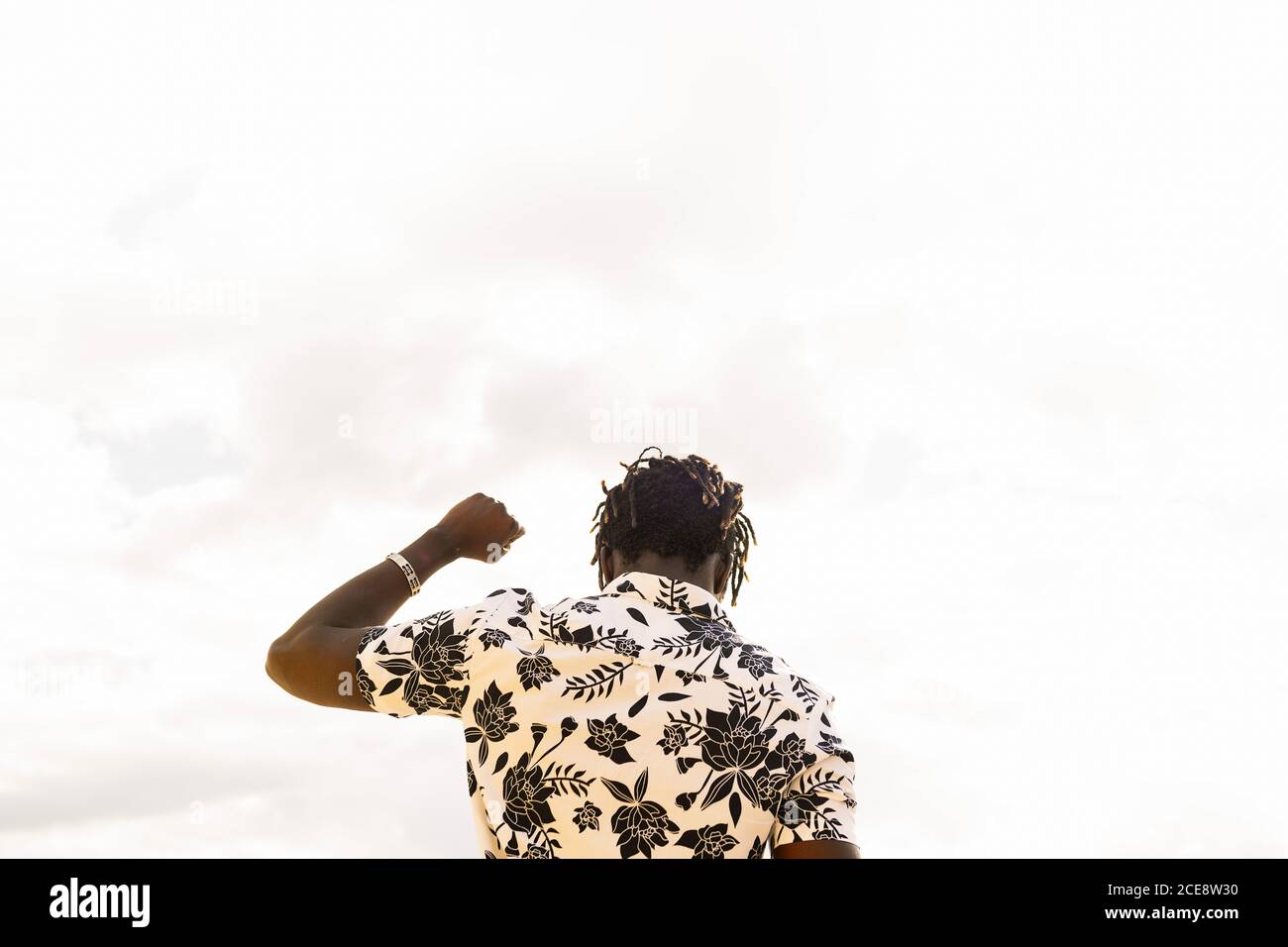 Back view man raised fist hi-res stock photography and images - Alamy