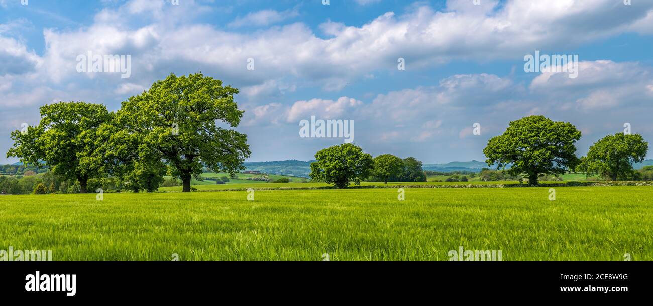South derbyshire hi-res stock photography and images - Alamy