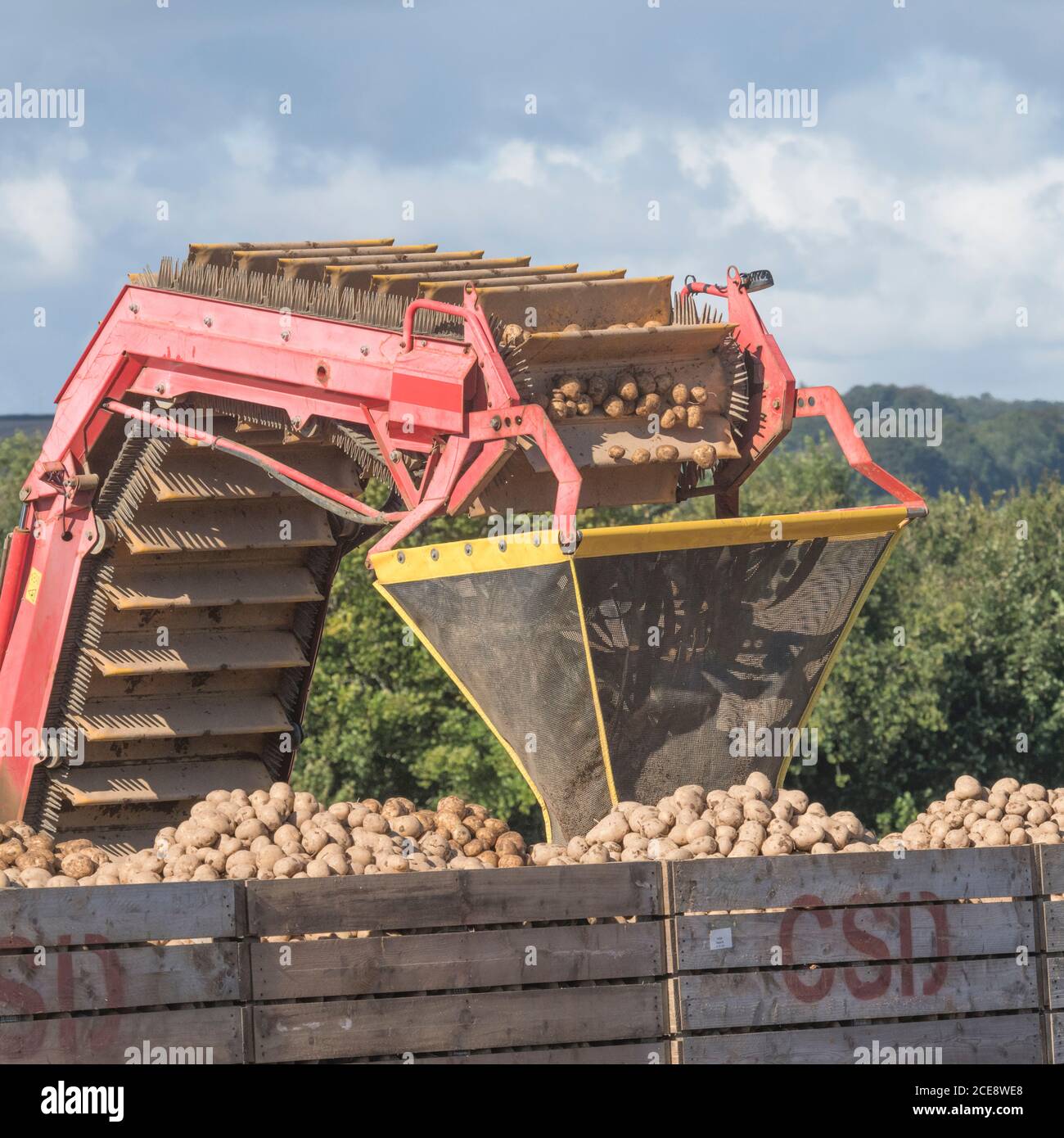 Grimme potato harvester off-loader chute dropping cleaned potatoes into ...