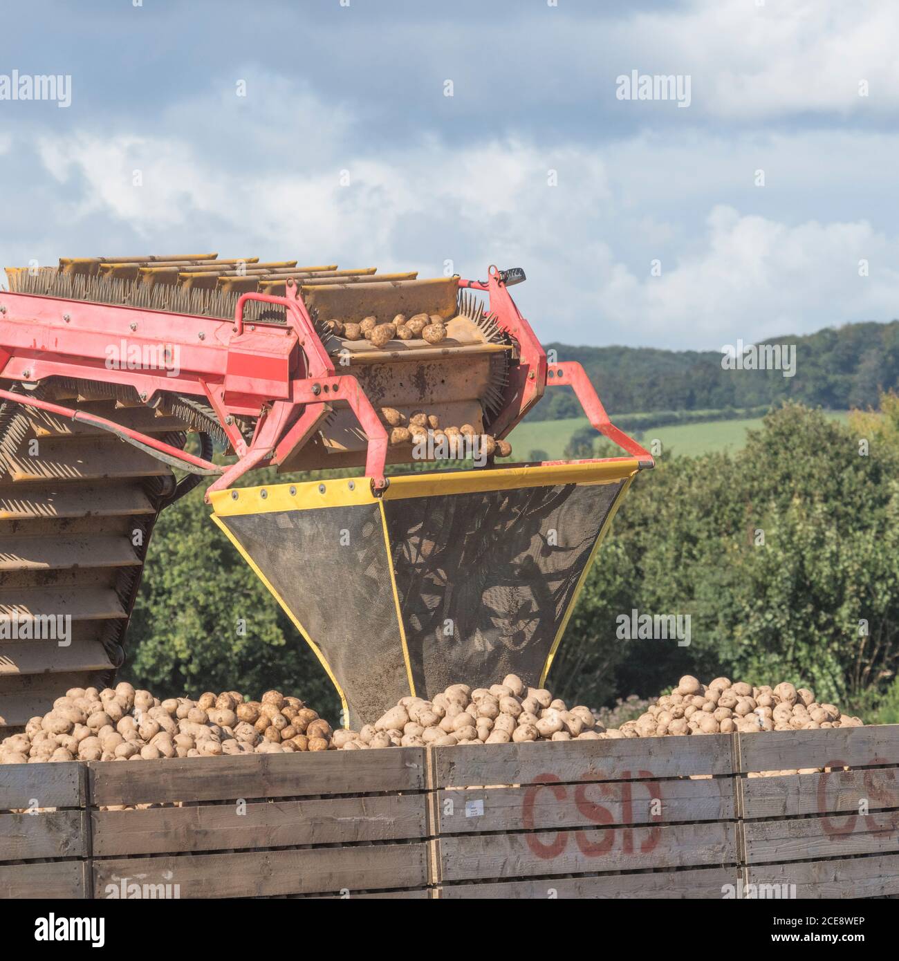 Grimme potato harvester off-loader chute dropping cleaned potatoes into ...