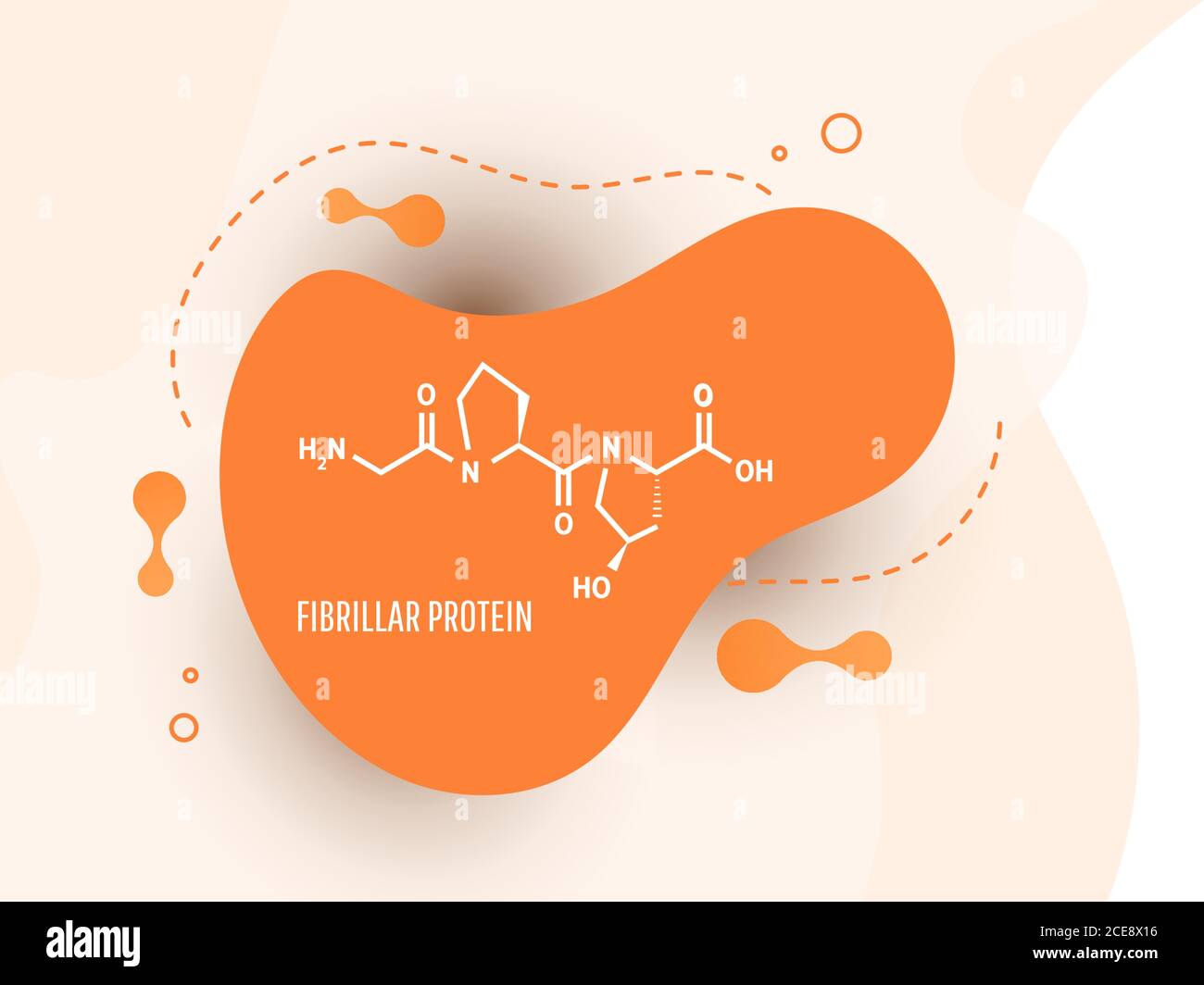 Collagen is a fibrillar protein that forms the basis of the connective ...