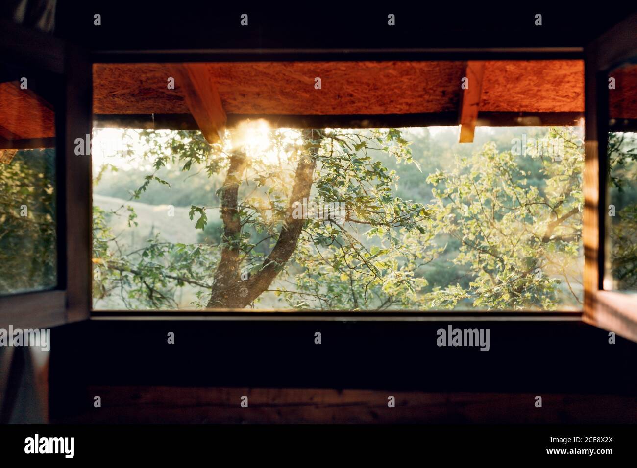 Through opened window of wonderful landscape of green woods during dawn ...