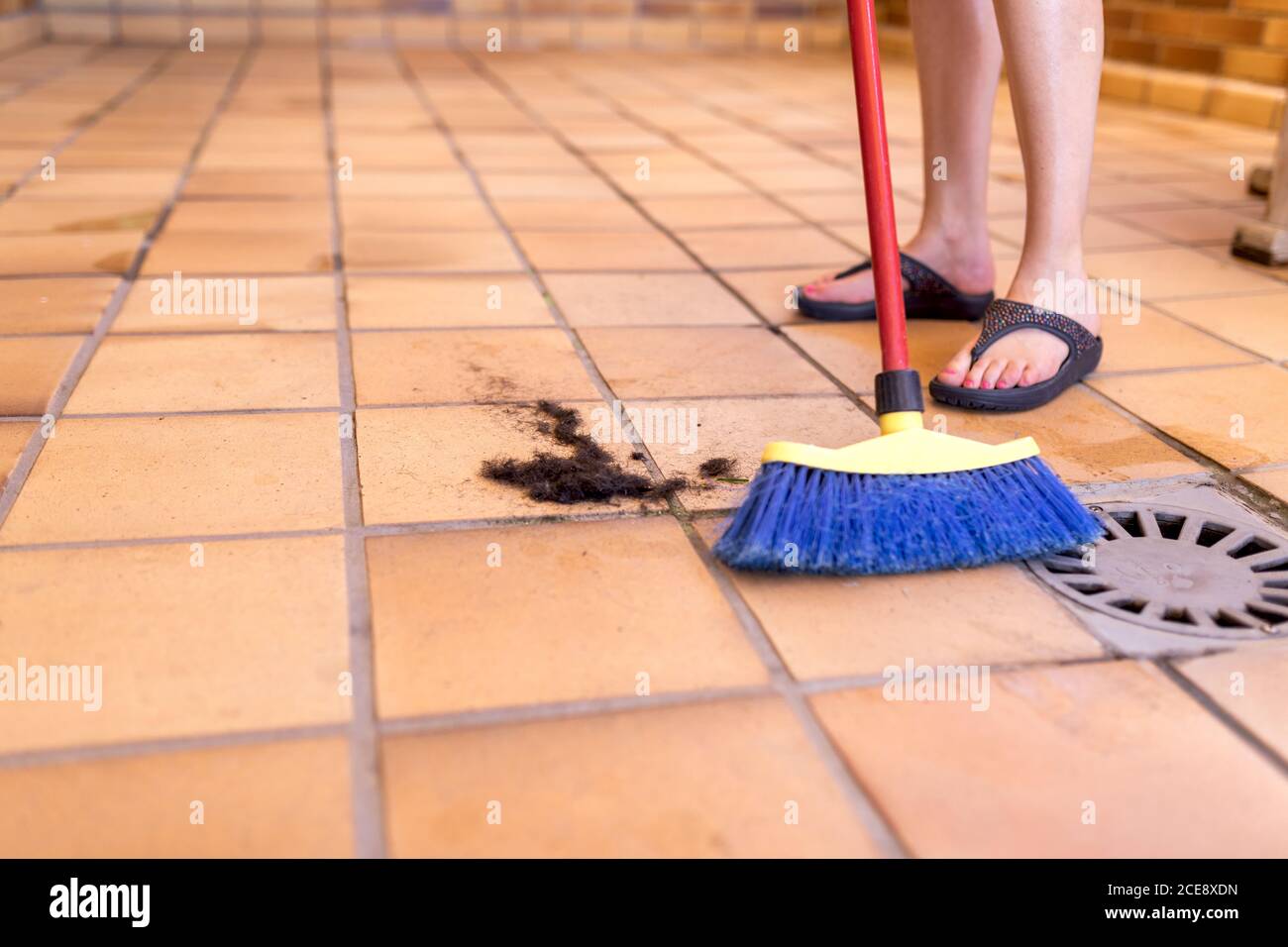 Crop unrecognizable Woman in flip flops sweeping black cut hair from ...