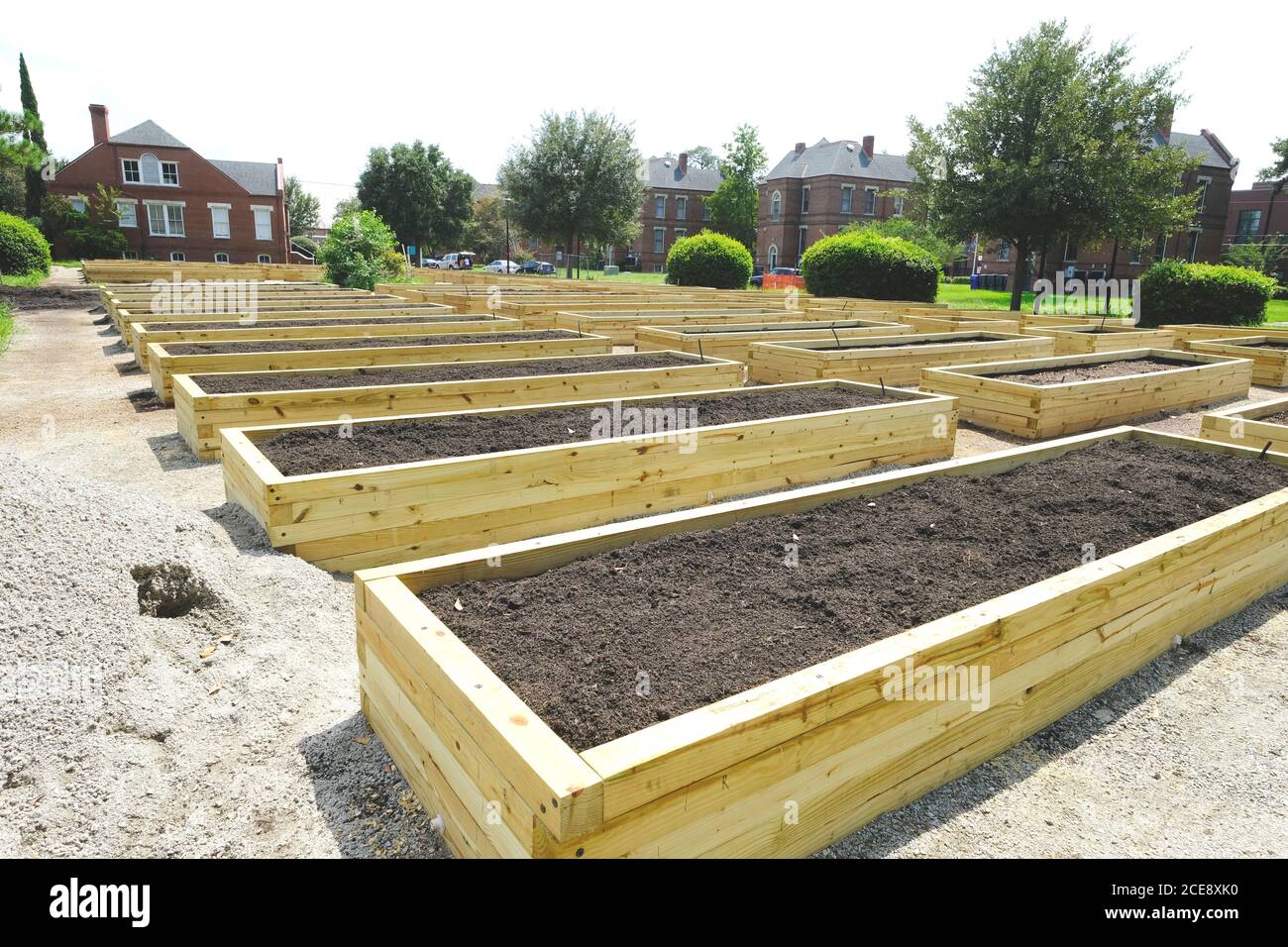 New Urban Garden Under Construction with Wooden Plots Established and ...