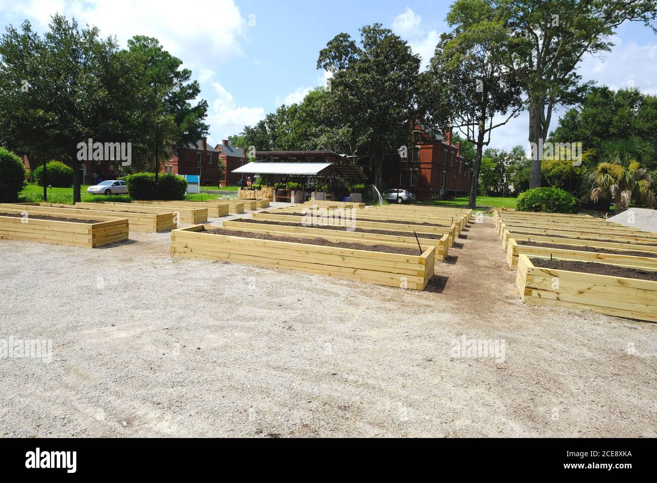 New Urban Garden Under Construction with Wooden Plots Established and ...