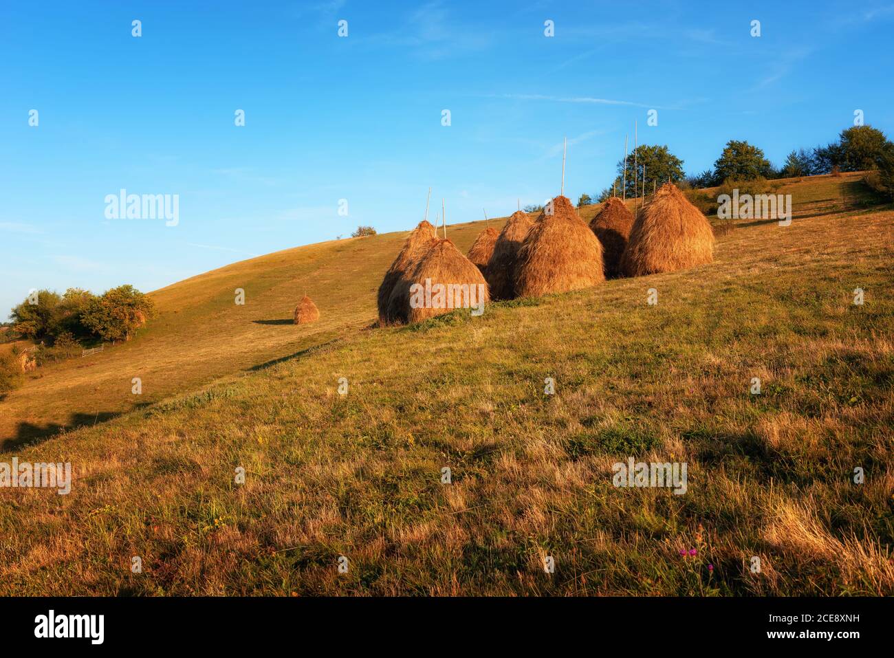 Hay piles hi-res stock photography and images - Alamy