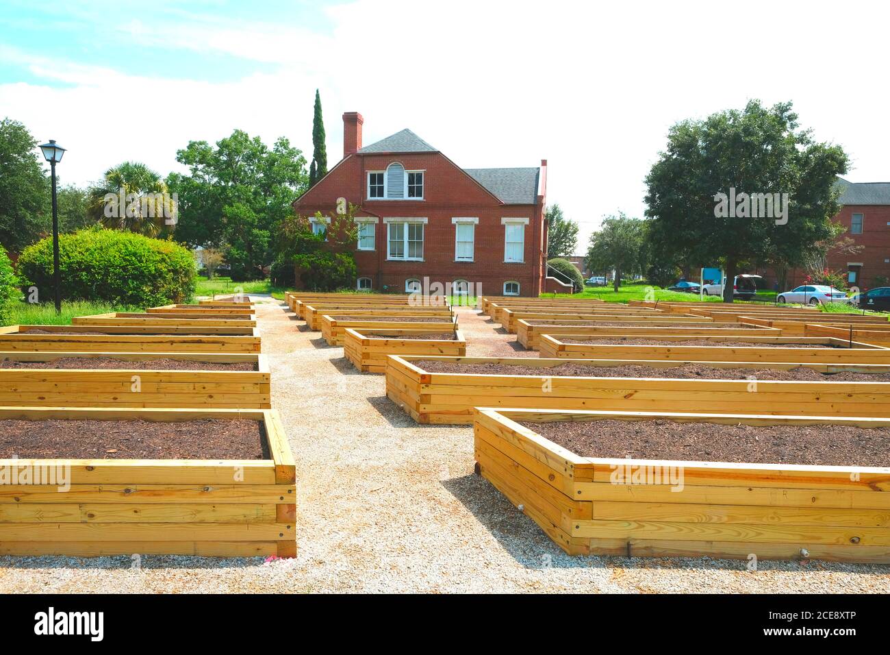 New Urban Garden Under Construction with Wooden Plots Established and ...