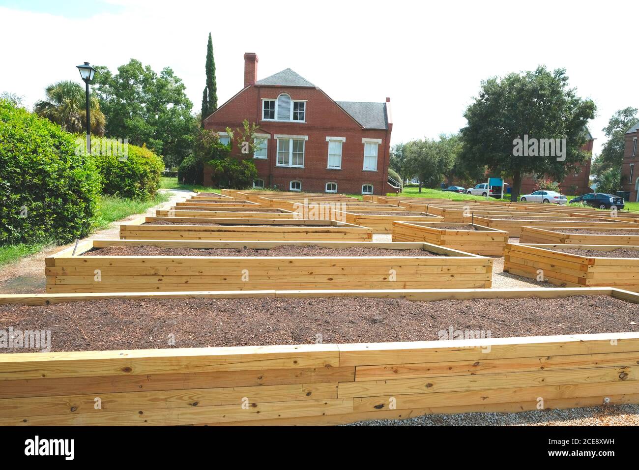 New Urban Garden Under Construction with Wooden Plots Established and ...