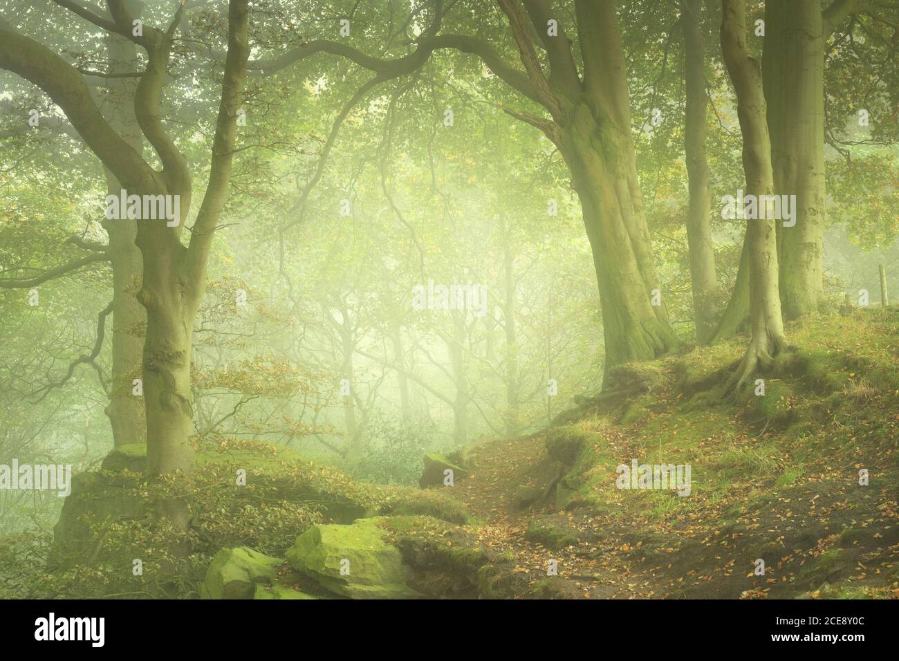 Otley chevin forest park hi-res stock photography and images - Alamy