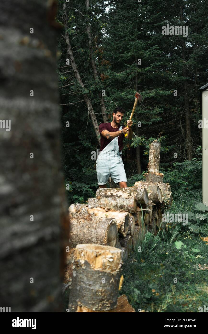 Adult male traveler cutting woods standing against lush dark woods in ...
