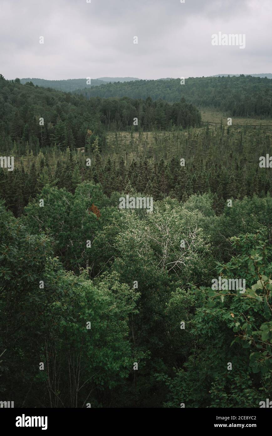Algonquin park hike hi-res stock photography and images - Alamy
