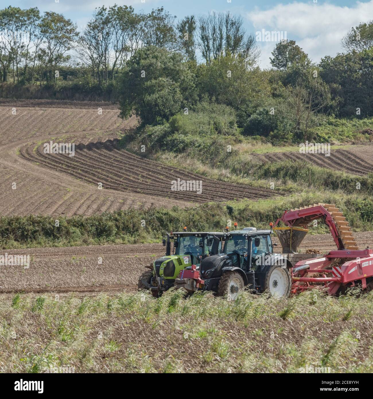 2020 UK potato harvesting with Grimme potato harvester pulled by Valtra ...