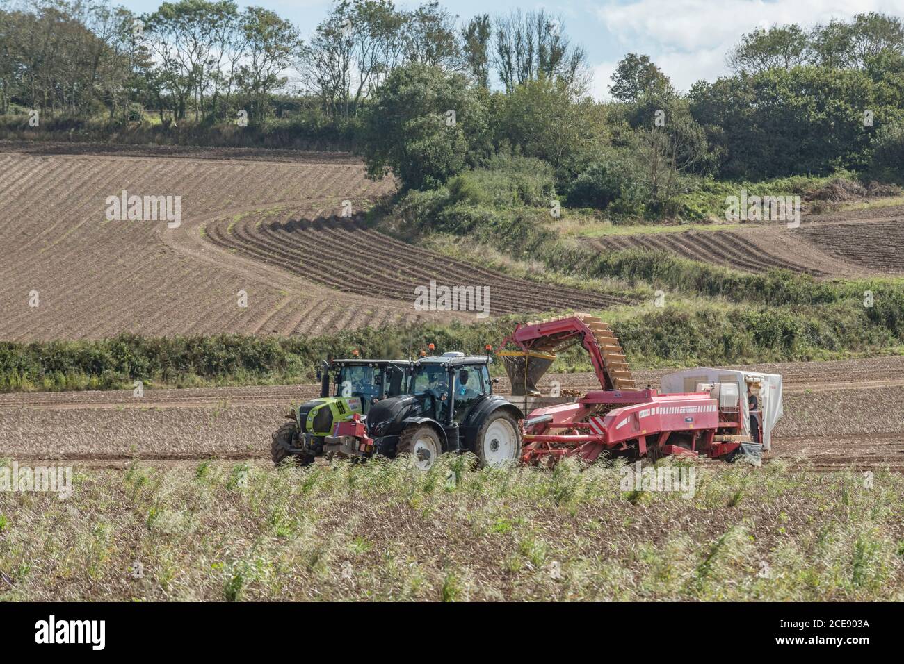 2020 UK potato harvesting with Grimme potato harvester pulled by Valtra ...