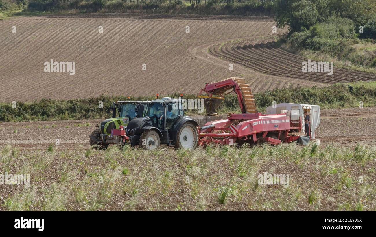 2020 UK potato harvesting with Grimme potato harvester pulled by Valtra ...