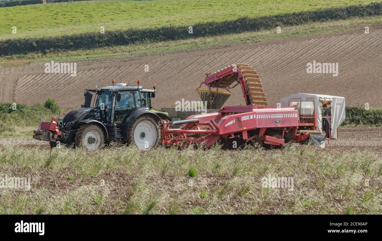 2020 UK potato harvesting with Grimme potato harvester pulled by Valtra ...
