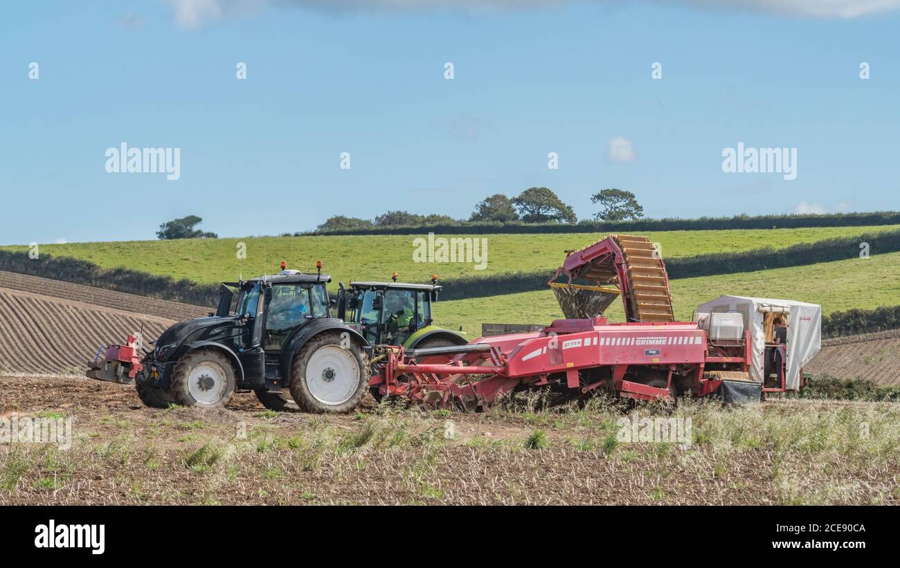 2020 UK potato harvesting with Grimme potato harvester pulled by Valtra ...