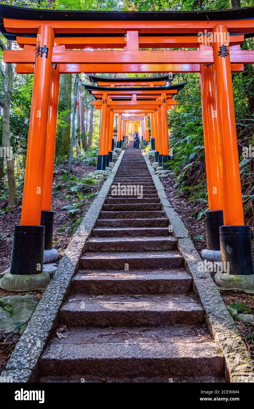 A beautiful line of Toriis and a set of steps before you enter a Shinto ...