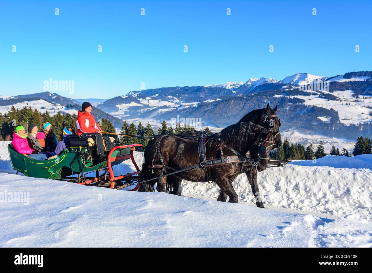 Funny winter afternoon with the girl friends in horse-drawn sleigh ...