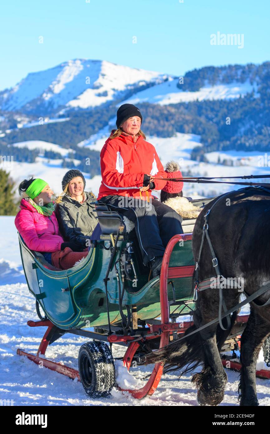Funny winter afternoon with the girl friends in horse-drawn sleigh ...