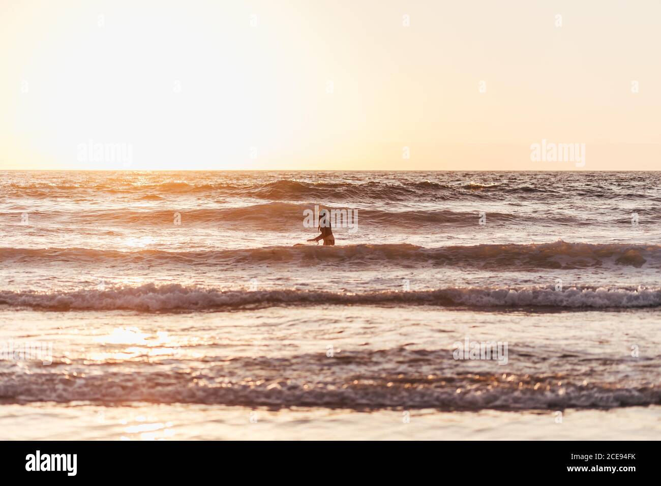 Surfer in sunset hi-res stock photography and images - Alamy