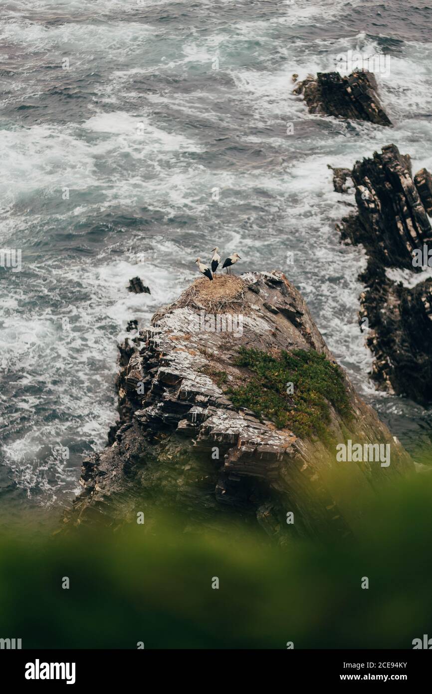 Rocky cliffs in ocean Stock Photo - Alamy