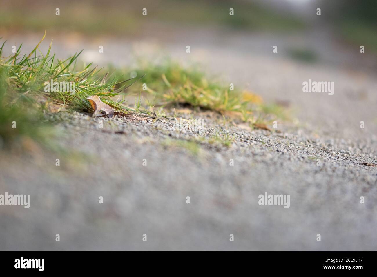 Selective focus worm's eye view of the ground with grass Stock Photo ...