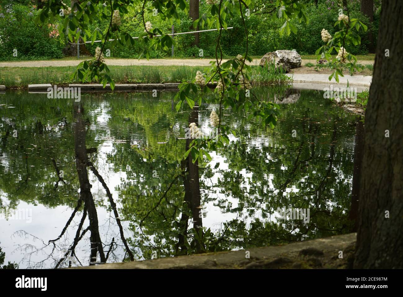 Pond seen through tree branches Stock Photo - Alamy